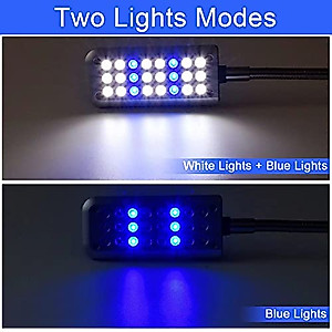 Goehiaul Aquarium Light Clip on Fish Tank Lighting Small Fish Light for Rimless Fish Tanks, White and Blue LEDs