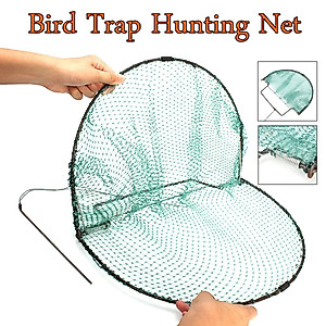 Bird Pigeon Trap, Bird Net Starling Traps, Humane Live Bird Catcher Net, for Small Birds Pigeons Sparrow Quail (30cm)
