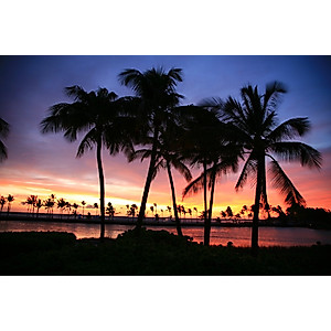 Posterazzi Hawaii Big Island South Kohala Anaeho'omalu Bay Dramatic And Colorful Sunset Sky With Palm Tree Silhouettes. Poster Print, (17 x 11)