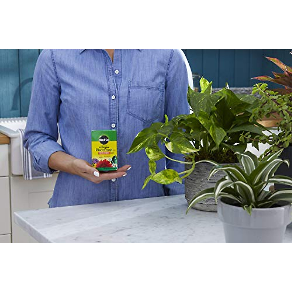 Miracle-Gro Water Soluble All Purpose Plant Food, Plant Fertilizer, 8 oz. (12-Pack)