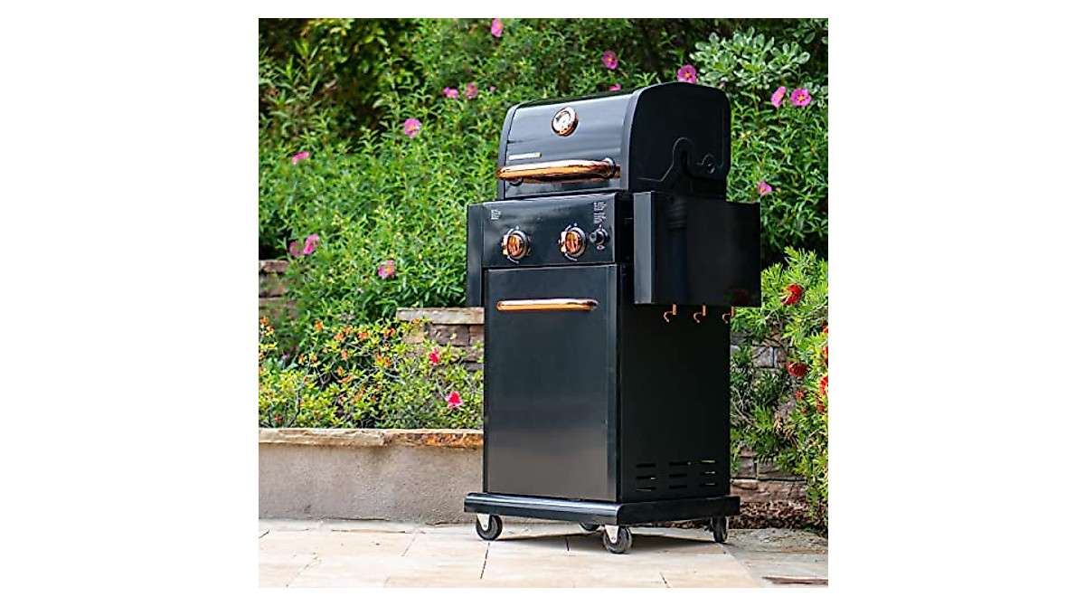 Permasteel 2-Burner Gas Grill for Exceptional Outdoor Cooking