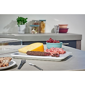 Mepal, MODULA Cheese Dome for Cheddar or Parmesan Including Transparent Dome and Cutting Board, Airtight, Portable, BPA Free, Holds 95 oz, 1 Count