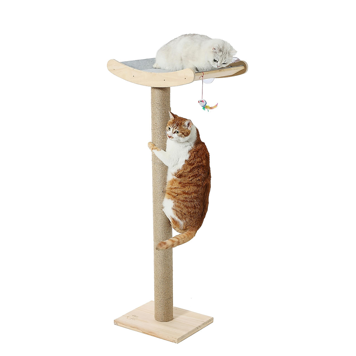 Window Cat Perch with Scratching Posts, 46" Wood Tree Bed for Large Inside Cats Climbing, Perching and Lounging, Mounted with 3 Strong Suction Cups (Wood Platform)