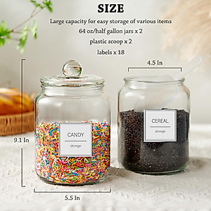 FyndraX Half Gallon Large Glass Jars with Lids, Airtight Storage Clear Containers for Cookie, Candy, Flour, Sugar, Coffee, Food Organization Canisters for Kitchen, Laundry Room and Pantry, Set of 2