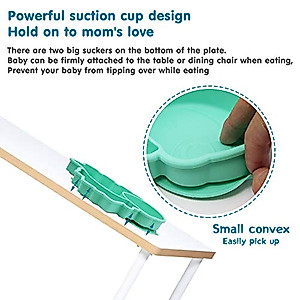 Qshare Suction Plates for Baby,Silicone Plates,Toddler Suction Divided,Baby Feeding Plates,Toddler Plate Microwave & Dishwasher Safe (Mint)