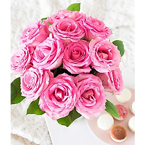 From You Flowers - One Dozen Light Pink Roses with Glass Vase (Fresh Flowers) Birthday, Anniversary, Get Well, Sympathy, Congratulations, Thank You