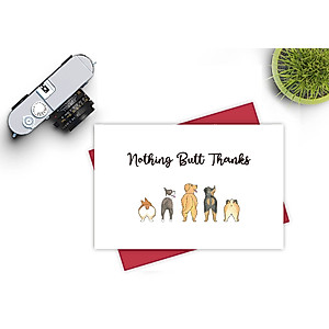 Kirynurd Nothing Butt Thanks, Cute Funny Thank You Card, Thanks Card for Anyone, Thanksgiving Day Card