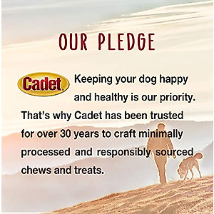 Cadet Double Stuffed Shin Bones for Dogs Bacon & Cheese Large (1 Count)