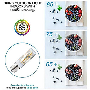 YUJIU E17 LED Microwave Oven Appliance Whirlpoo Bulb，70W Halogen Bulb Equivalent，Warm White 3000K Dimmable Ceramic Microwave Oven Light Bulb （2-Pack）