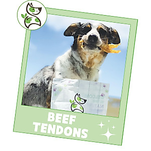 Nature Gnaws Beef Tendons for Dogs 4-5" (5 Count) - Mixed Thickness - Long Lasting for Small and Medium Dogs - Natural Beef Jerky Dog Chew Bones - Rawhide Free
