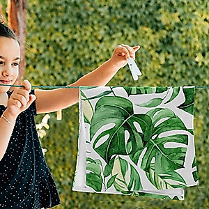 Palm Leaves Tropical Hand Towels Set of 2, Green Monstera Leaf Face Fingertip Towel for Bathroom Soft Absorbent Microfiber Decorative 28x14 in Gym Hotel Spa Yoga Sport