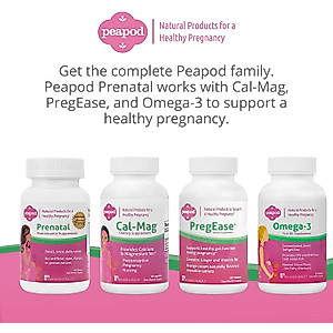 Fairhaven Health PeaPod Prenatal Multivitamin - 1 Per Day, Light Vanilla Flavor - Pregnancy Must Haves for Women and Baby Health - includes Iron, Vitamin C, and Folic Acid - 2 Month Supply