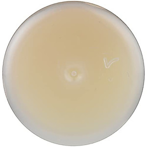 ECO LIPS Organic Mongo Kiss Vanilla Honey Lip Balm, 0.25 OZ