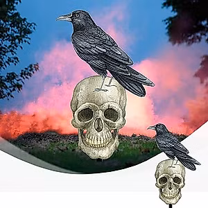 Halloween Yard Sign Crow On Skeleton Head Scary Stakes Yard Decorations Halloween Party Decorations Garden Stakes Decor Yard Signs Yard Art for Patio, Garden, Porch Halloween Party Decor 1 Pack