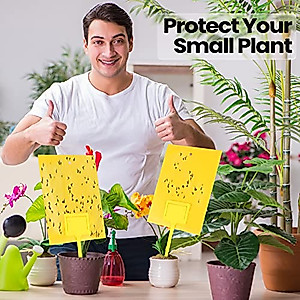 150 Pieces Sticky Traps for Gnats Dual Sided Sticky Traps for Indoor and Outdoor Plant Fruit Fly Sticky Traps with Twist Ties and Plastic Holders for Flying Plant Insect, Fungus Gnats