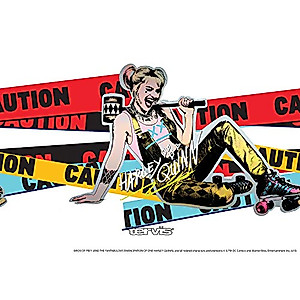 Tervis DC Comics-Birds of Prey-Harley Quinn Triple Walled Insulated Tumbler, 30oz Legacy, Stainless Steel