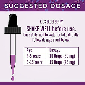 Kids Probiotic Drops & Kids Elderberry Drops by MaryRuth’s | USDA Organic Liquid Oral Probiotics for Digestive Health for Kids Ages 4+ | Gut Health, Immune Support, Overall Health for Ages 4+