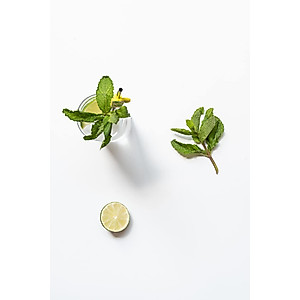 Nod Products Steel Straws with Engraved Recipes and Silicone Charms Strawtails, 8-inch Length, Set of 4, Mint Mojito