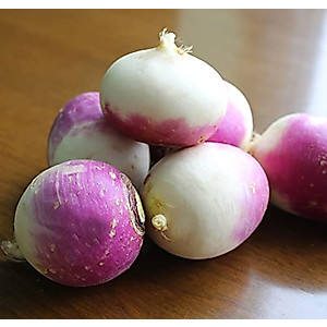 TKE Farms - Purple Top Turnip Seeds for Planting, 12 Grams ~ 5000 Seeds, Brassica rapa