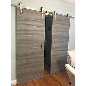 SARTODOORS Planum 0010 Interior Door Slab 36" x 80" Closet Sliding Flush Wood Ginger Ash No Pre Drilled