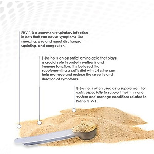 Felisyl Immune System Support(L-Lysine) Granules for Cats 3.5oz(100g)