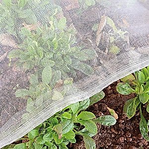 Garden Netting Pest Barrier: 4'x10'(2 Pack) Fine Bug Netting for Garden Protection Row Cover Raised Bed Screen Mesh Greenhouse Mosquito Net, Protecting Tree Plants Vegetable Flowers Fruits