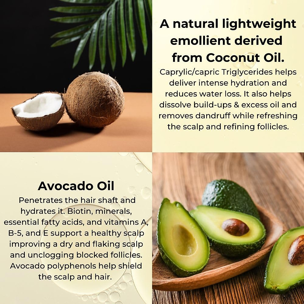 Ayumi Bio-Active Scalp & Hair Oil | Clinically Tested to Reduce Dandruff and Dry Flakes | Soothes Itchy Scalp | Pre Shampoo Treatment | Nourishes & Protects Hair Strands | 5.1 Fl Oz