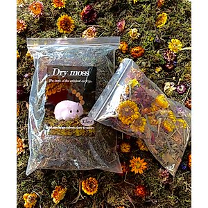 BGUNDI KHZYK 3.5oz Forest Hamster Moss & 1.76oz Hamster Flowers,Hamster Bedding Suitable for Dwarf Hamsters and Syrian Hamsters,Hamster Sprays,Hamster Habitat Decor for Hamster Cage Accessories