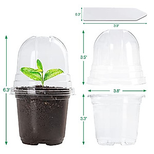 Bluepro Clear Nursery Pots with Humidity Dome 30 Sets 4" Transparent Plastic Plant Pot Seedling Planter Seed Starter Pots Flower Pot with 10pcs Plant Labels for Indoor Outdoor Garden