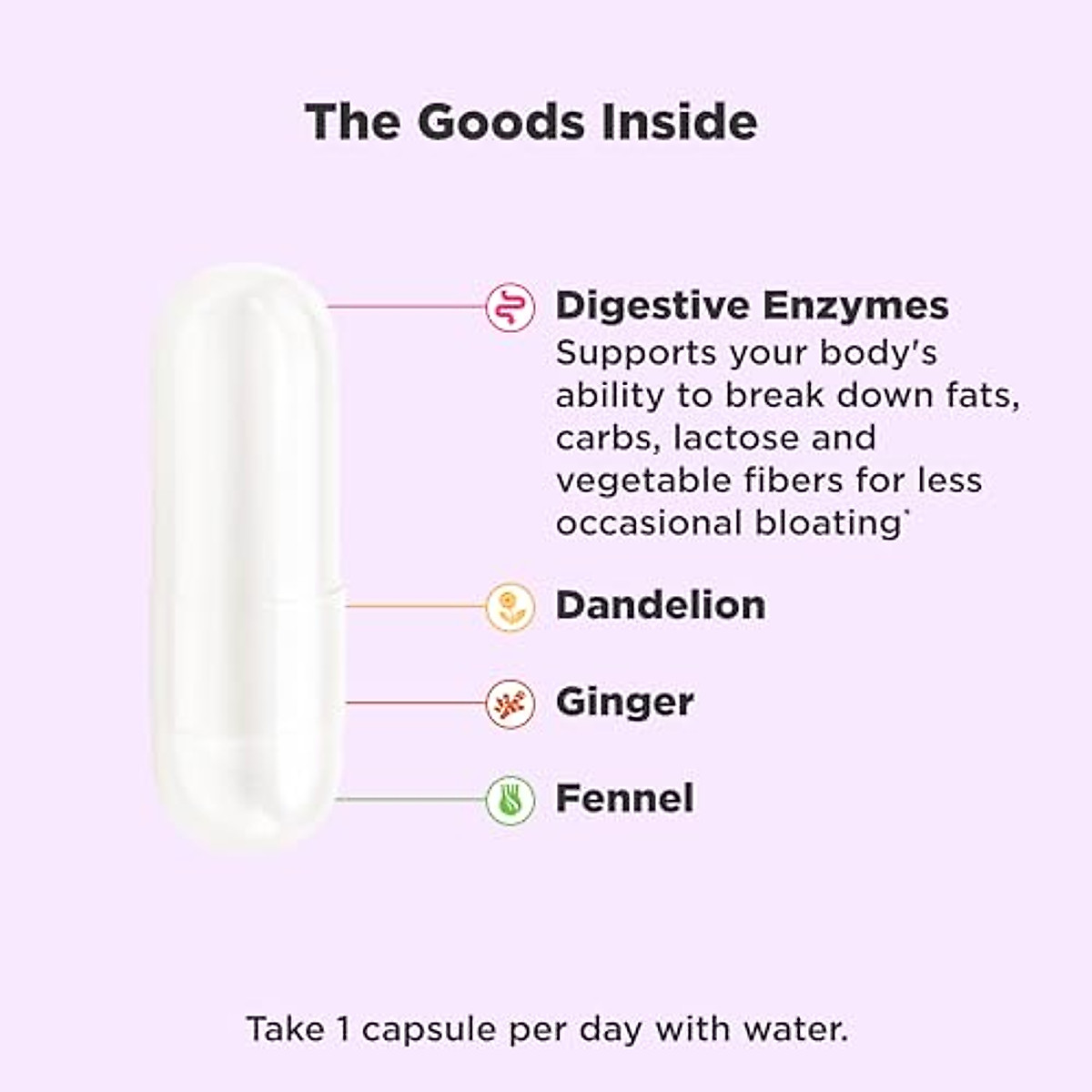 OLLY Beat The Bloat Capsules, Digestive Support Enzymes, Supplement for Women - 25 Count