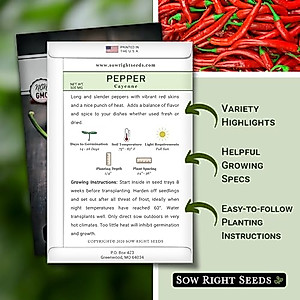 Sow Right Seeds - Cayenne Pepper Seed for Planting - Non-GMO Heirloom Packet with Instructions to Plant a Home Vegetable Garden - Grow Super Hot Thin Cayennes for Cooking or Seasoning(1)