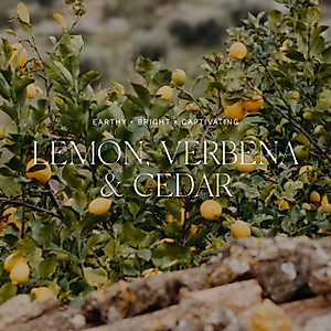 Antica Farmacista Room Spray, Lemon, Verbena and Cedar 3.4 Fl Oz