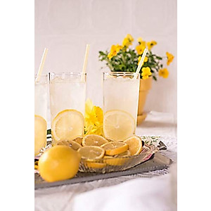 S & L Straw Company - Colored Plastic Drinking Straws - Disposable Kid Friendly, Colorful Party Fun Straws (Clear, 250)