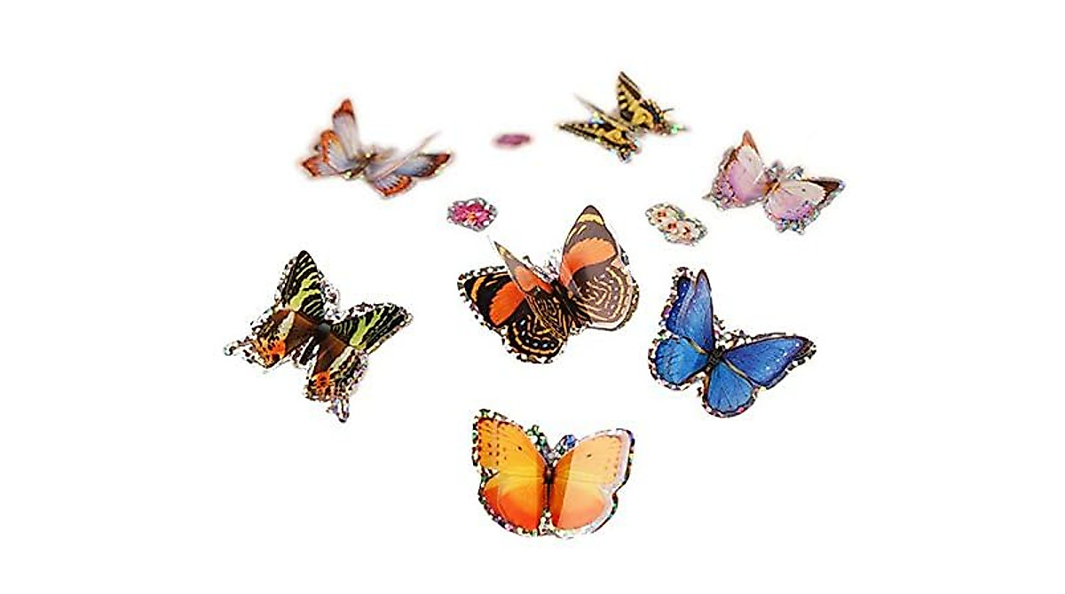 Insect Lore Butterfly Garden Set - Grow Live Butterflies