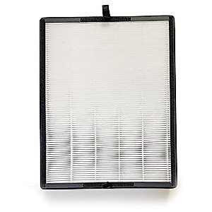 Nispira True HEPA Filter Replacement Compatible with Breathe 45i Flex Air purifier. Compared to Part B4-Fresh FL40-Silver-Carbon B4-Odor, 1 Pack