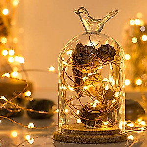 Fairy Lights Plug in, 100Ft 300LED Waterproof Firefly Lights on Copper Wire - UL Adaptor Included, Starry String Lights for Wedding Indoor Outdoor Christmas Patio Garden Decoration, Warm White