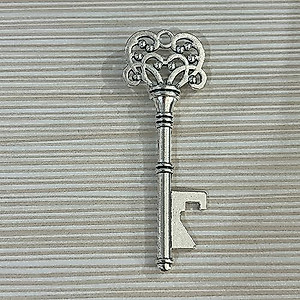 Toporchid Key Portable Bottle Opener Beer Bottle Can Opener Hangings Ring Keychain Tool(silver）