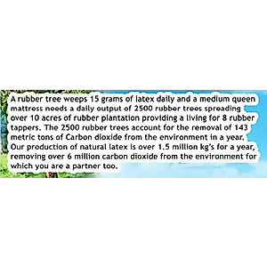 100% Natural Latex Mattress Topper - 2" Thick (Medium, Queen)