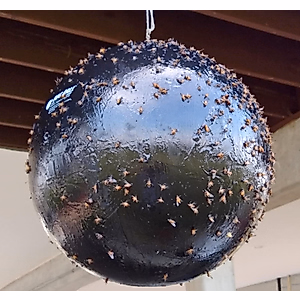 Bug Ball Starter Kit, 3 Pack - Yellow Fly, Horse Fly, Deer Fly, and Greenhead Fly Trap