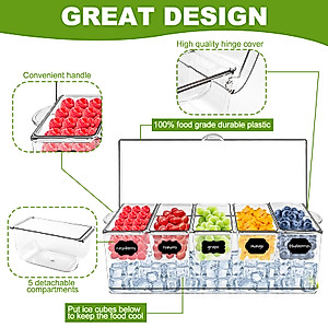 Ice Chilled Condiment Server Caddy, Bar Fruit Caddy with Lid and 5 Removable Compartments, Plastic Storage Food Container Clear Ice Condiment Serving Tray for Party, Toppings Bar Container