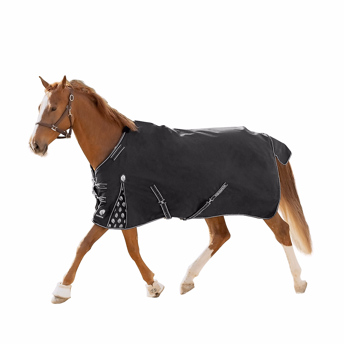 Equinavia Norse No Fill Horse Rain Blanket (0g) | Waterproof Lightweight Turnout Sheet - Black - 66 in - Black - 66 in