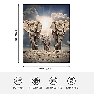 Elephant Blanket 40" x 50" African Wild Animal Family Exotic Super Soft Bedding Fleece Throw Blanket Luxury Bed Blanket Bedroom Living Room Warm Lightweight for Kids Adults