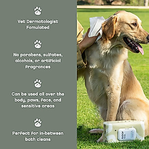Hypoallergenic Renewing Dog Wipes - Grooming Natural Fresh Aloe Wipes for Paws, Face, Skin, Eyes, Ears, Butt - Perfect for Puppy & Adult Dogs - Vet Dermatologist Formulated - Extra Thick (72 Count)