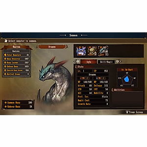 Brigandine: The Legend Of Runersia Collector's Edition (Nintendo Switch)