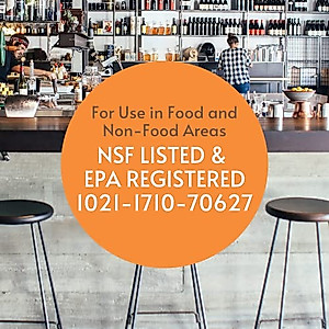 Diversey 5814919 Skidoo Institutional Flying Insect Killer II, Kills Flies, Gnats, Mosquitoes, Wasps & More, Aerosol Spray, 15-Ounce (Pack of 6)