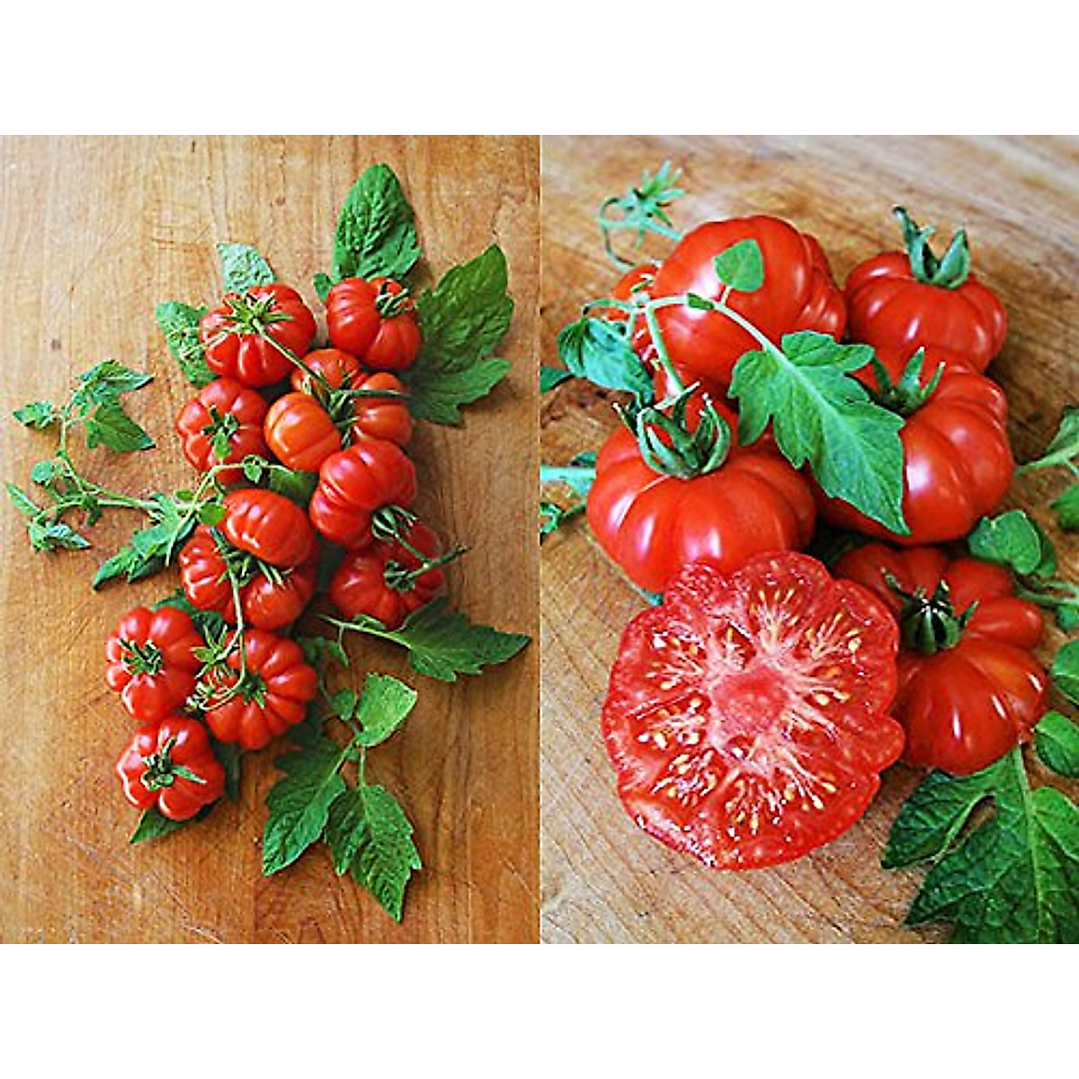 30+ Costoluto Genovese Pomodoro Tomato Seeds, Heirloom Non-GMO, Low Acid, Indeterminate, Open-Pollinated, Productive from USA
