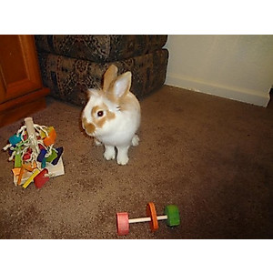 "The Tree" Pet Rabbit Toy