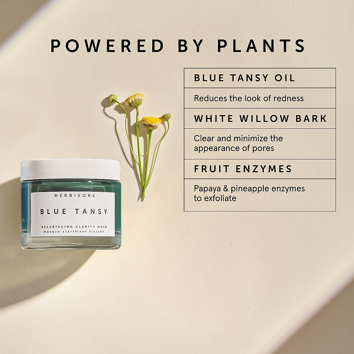 HERBIVORE Blue Tansy BHA & Enzyme Pore Refining Mask - Naturally Clarifies Acne, Blemishes & Redness, Vegan & Cruelty-Free, 60 mL / 2.02 oz