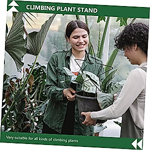 COHEALI 2pcs Flower Arrangement Roses Plants Tomato Plants Flowers Plants Flowers Trellis Climbing Plant Support Plant Support Ring Flower Support Rack Plant Stem Support Iron Trellis Vine