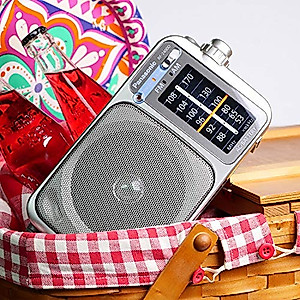 Panasonic Portable AM / FM Radio, Battery Operated Analog Radio, AC Powered, Silver (RF-2400D)